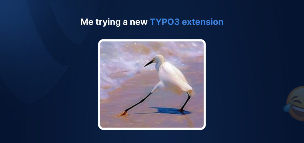 50+ TYPO3 Memes that every developer can relate